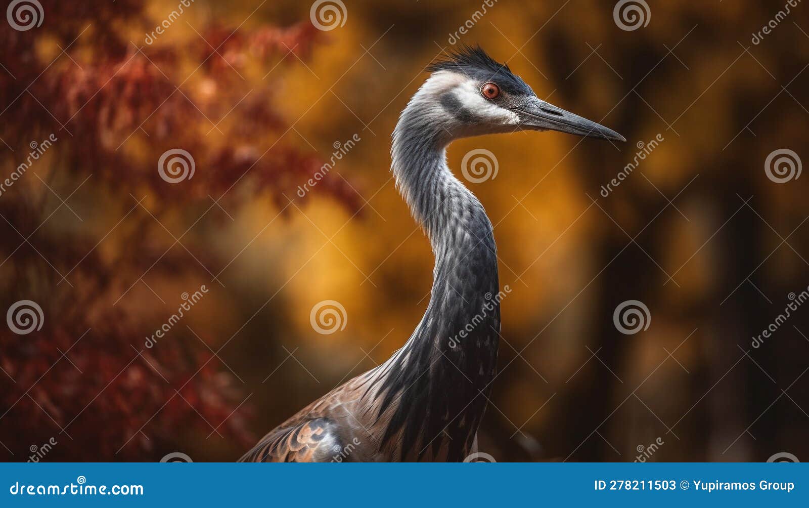 Elegance in Nature Crane Multi Colored Feathers Shine Generated by AI ...