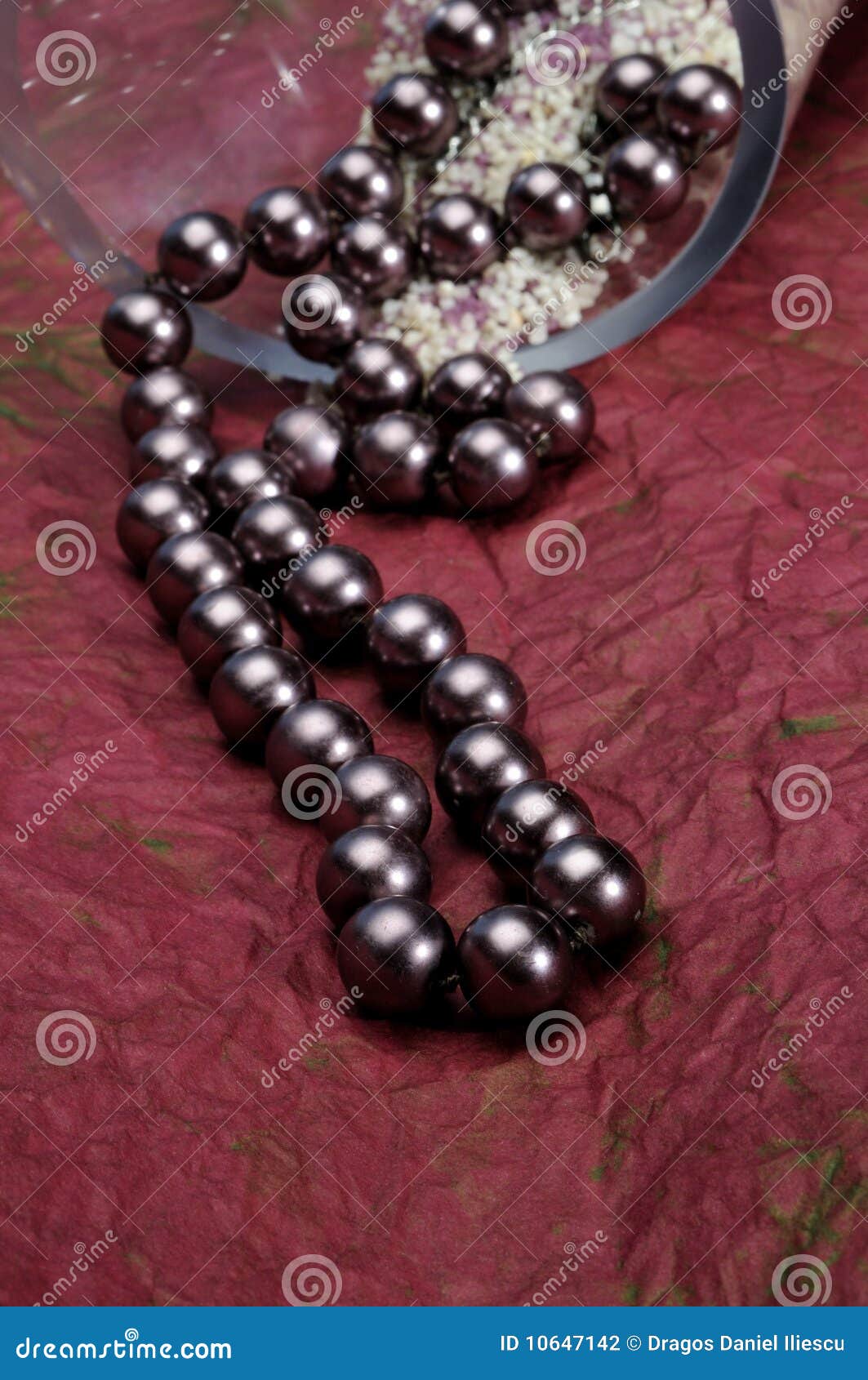 Elegant accessory stock photo. Image of black, textured - 10647142