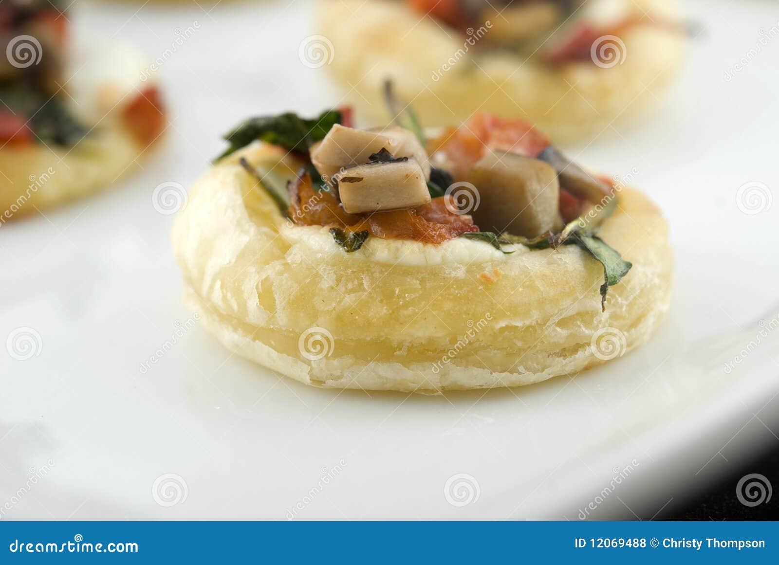 Elegant appetizer stock photo. Image of tasty, food, dine - 12069488