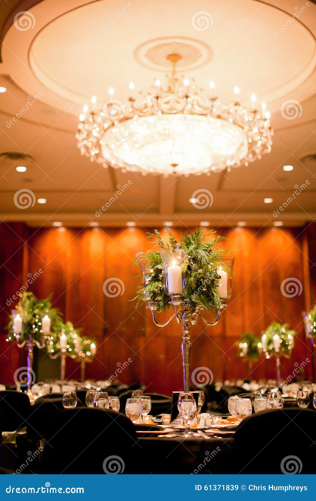 Elegant Ballroom Dinner Scene Stock Image - Image of fancy, outdoors ...