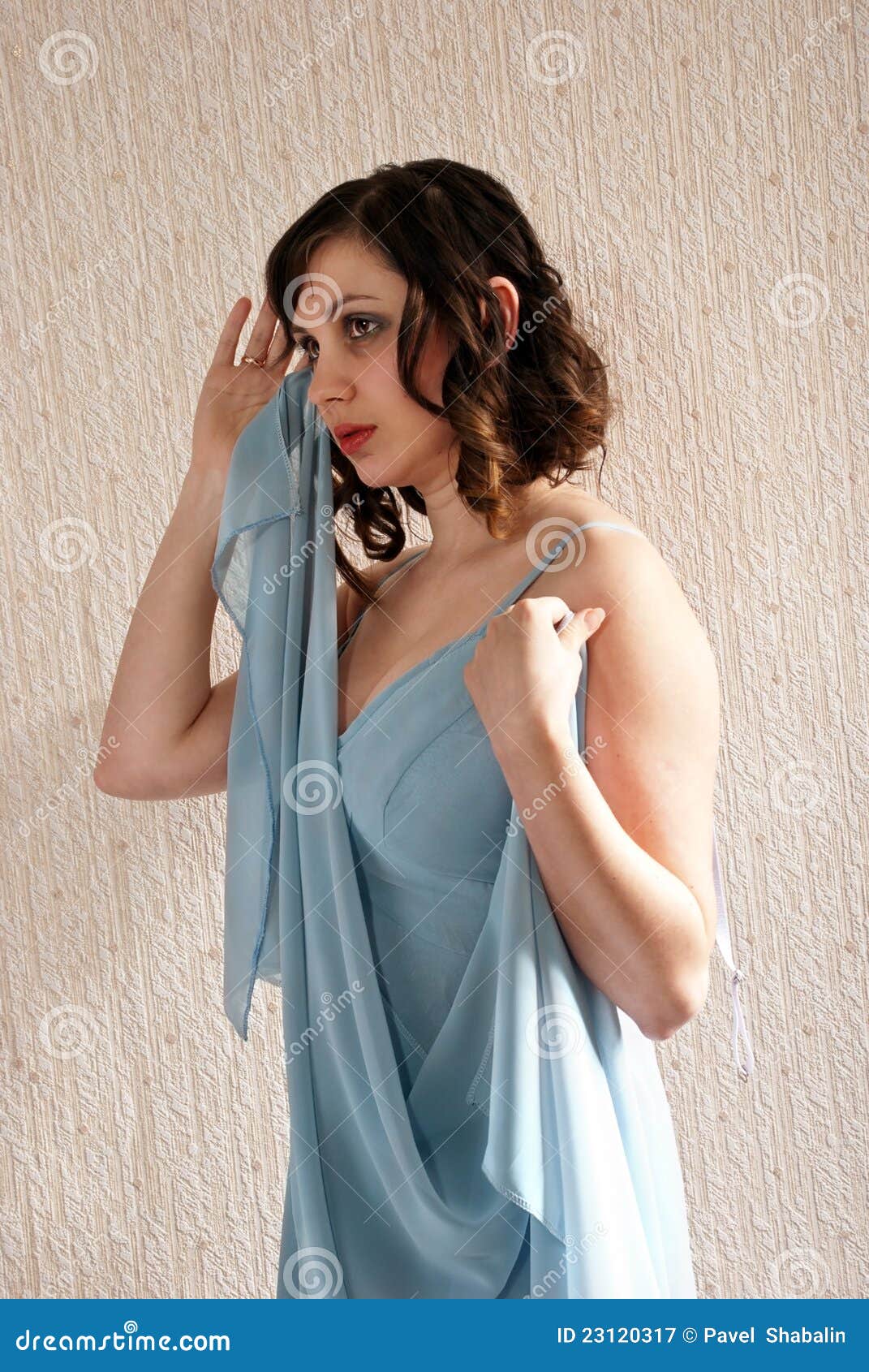 Elegant beautiful lady stock image. Image of lifestyle - 23120317