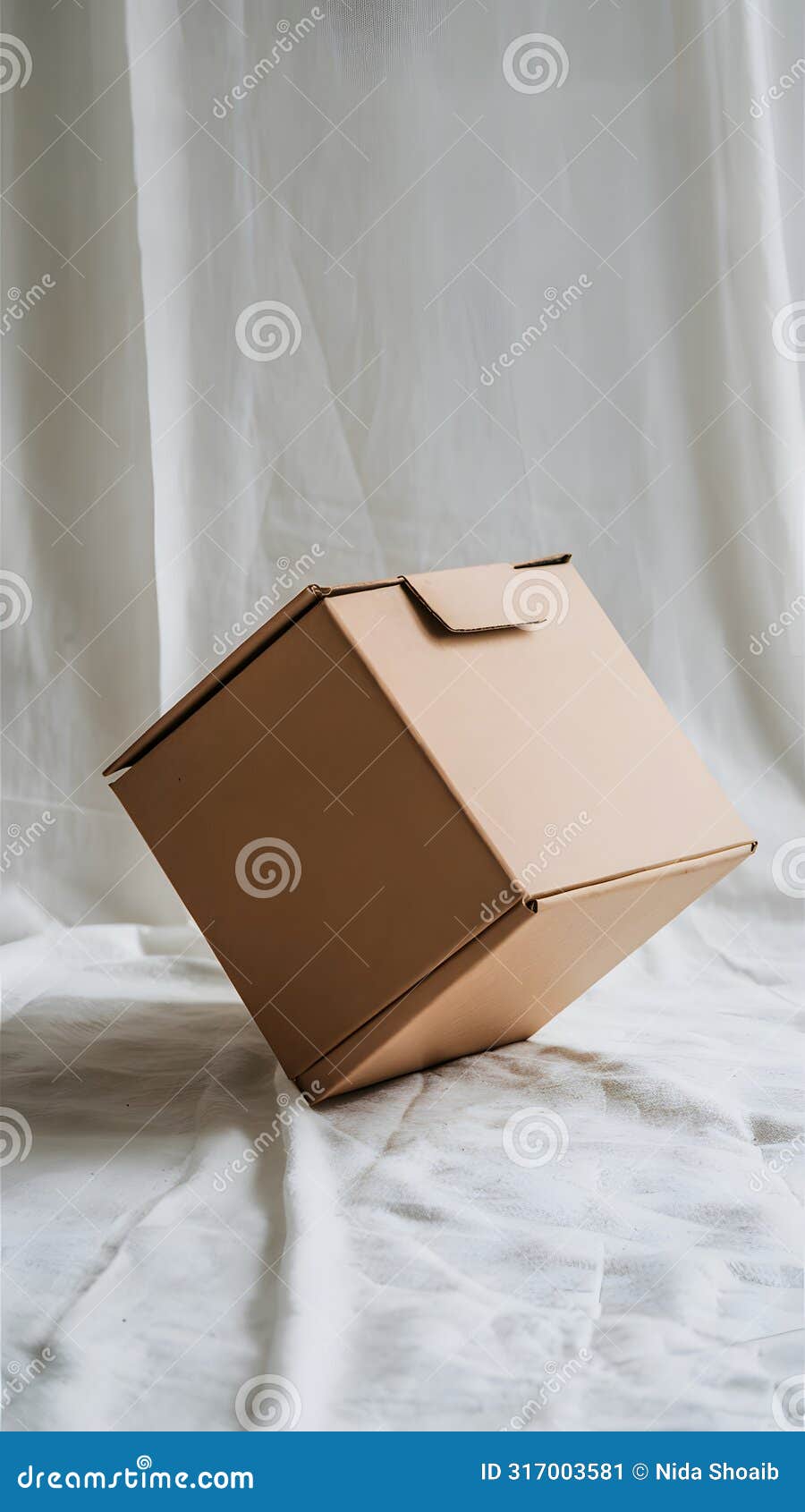 Elegant Beige Rectangular Cardboard Box with Hinged Lid on White ...