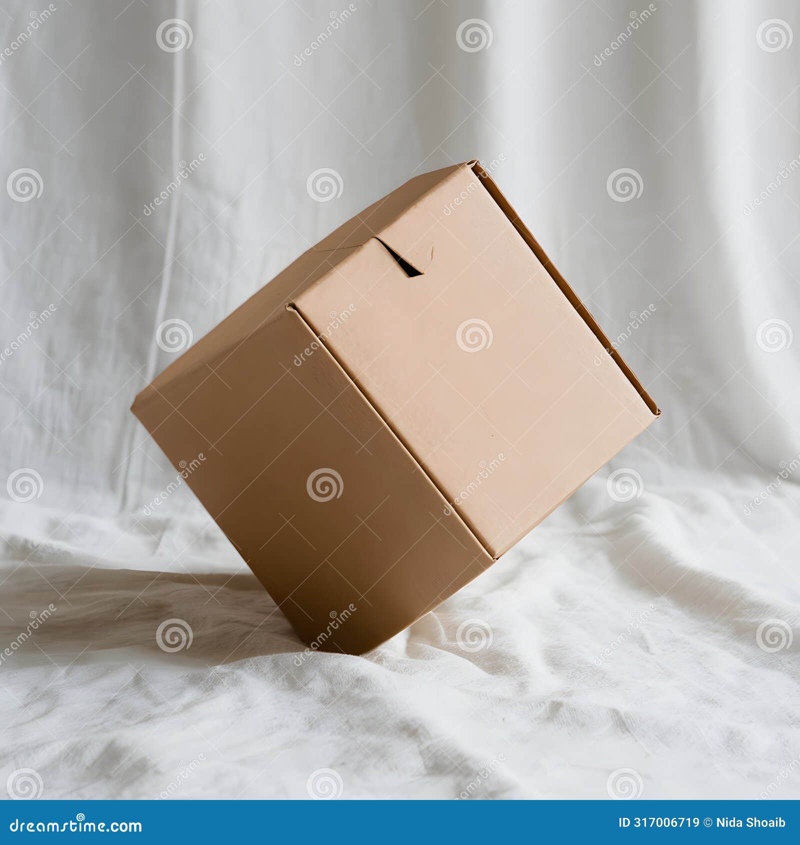 Elegant Beige Rectangular Cardboard Box With Hinged Lid On White ...