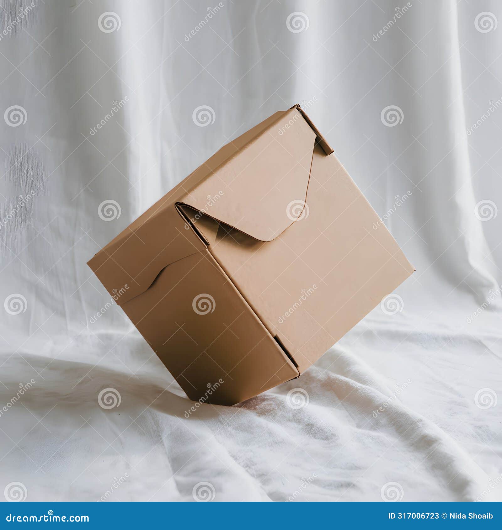 Elegant Beige Rectangular Cardboard Box With Hinged Lid On White ...