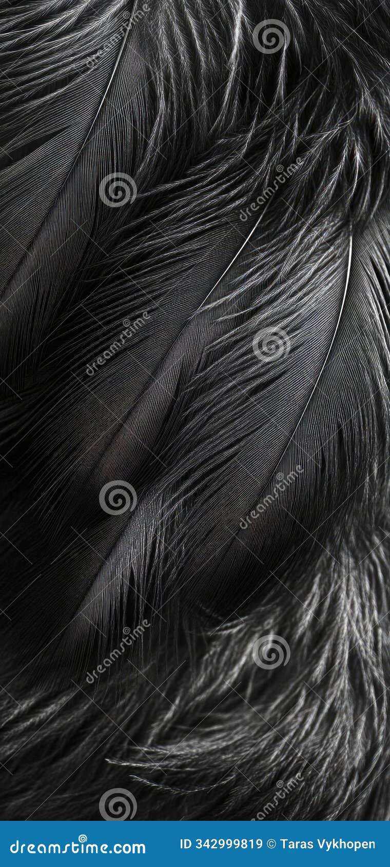 Elegant Black Feathers with Soft Texture for a Stunning IPhone ...