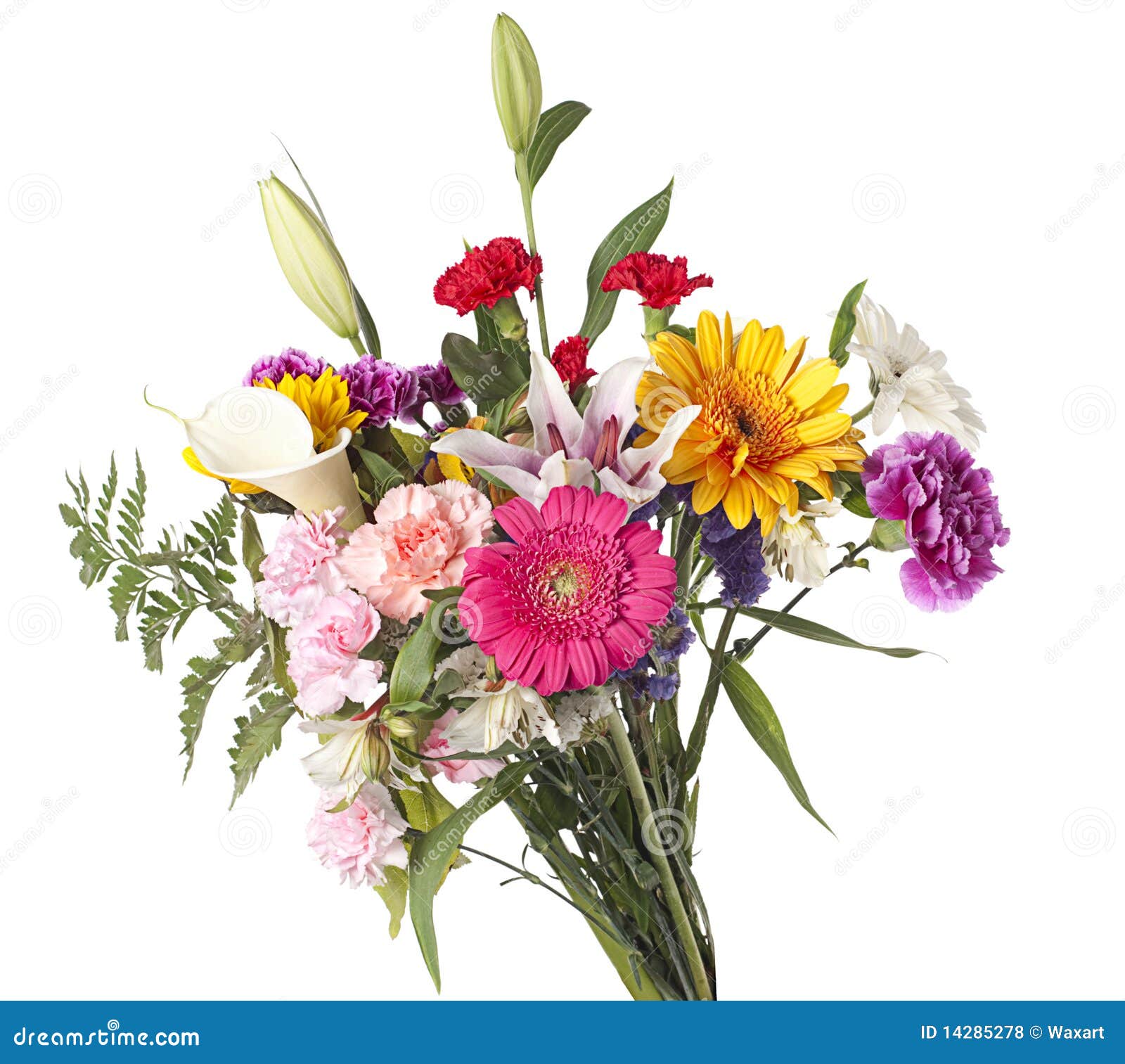 Elegant Bouquet of Cut Flowers Stock Photo - Image of blooms, colorful ...