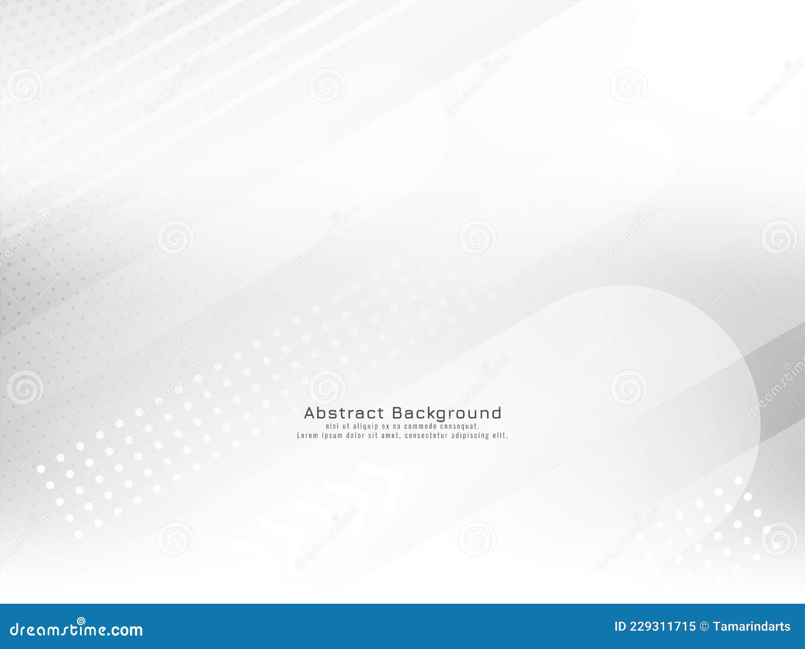 Elegant Bright Geometric Stripes Style White Background Stock Vector ...