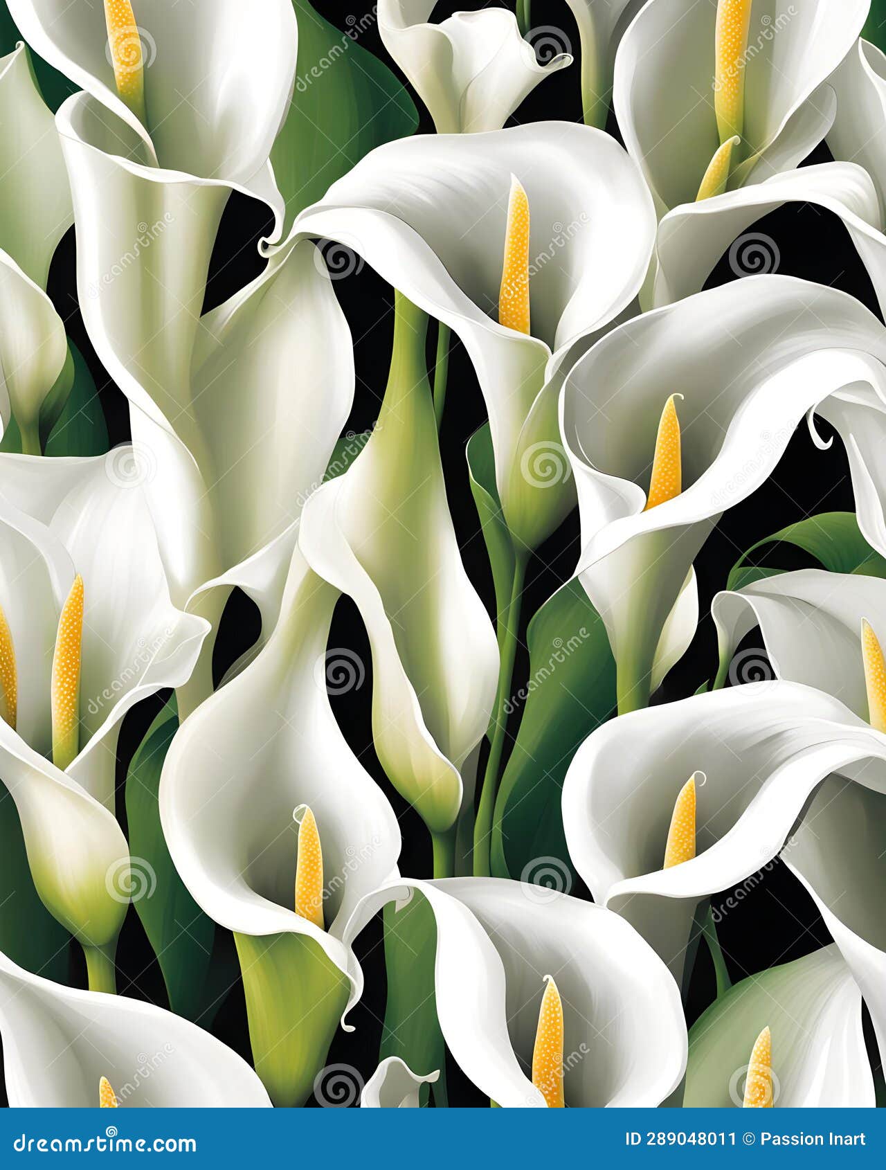 Elegant Calla Lilies Exuding Sophistication and Grace Stock ...