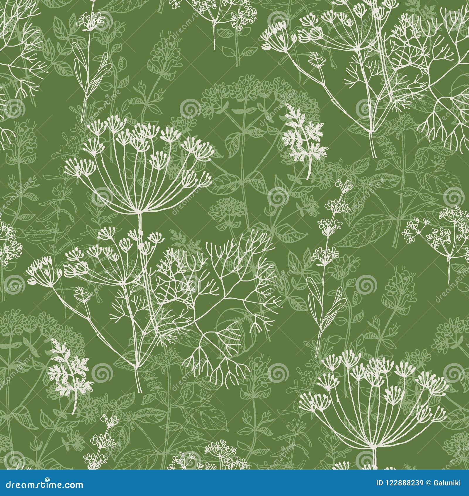 Herbal Seamless Pattern. Botanical Border. Vector Grass Background ... Herbal Seamless Pattern. Botanical Border. Vector Grass Background ...
