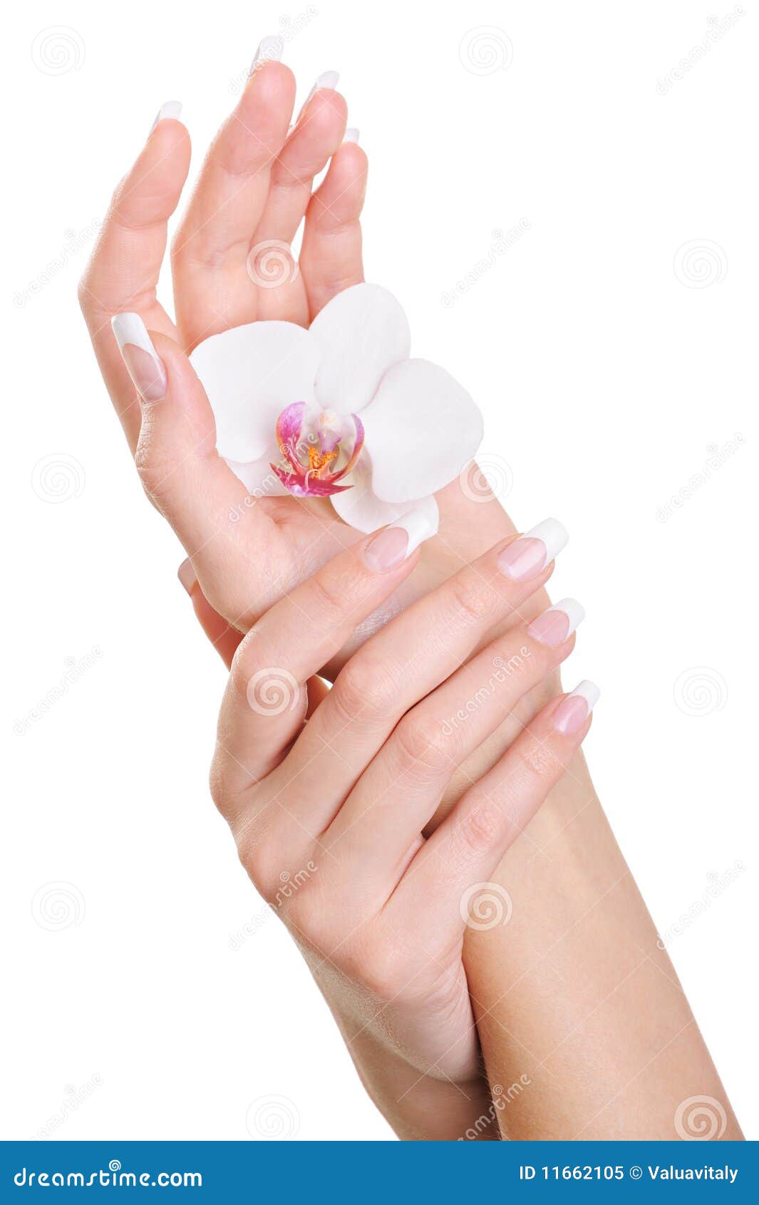 Hand Holding Flower In Palm