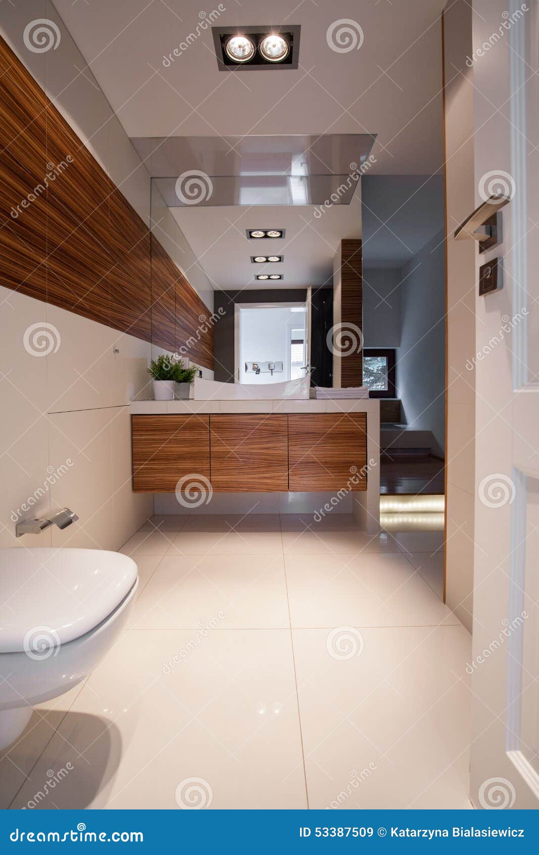 Elegant Clean Toilet Interior Stock Image - Image of mansion, residence ...