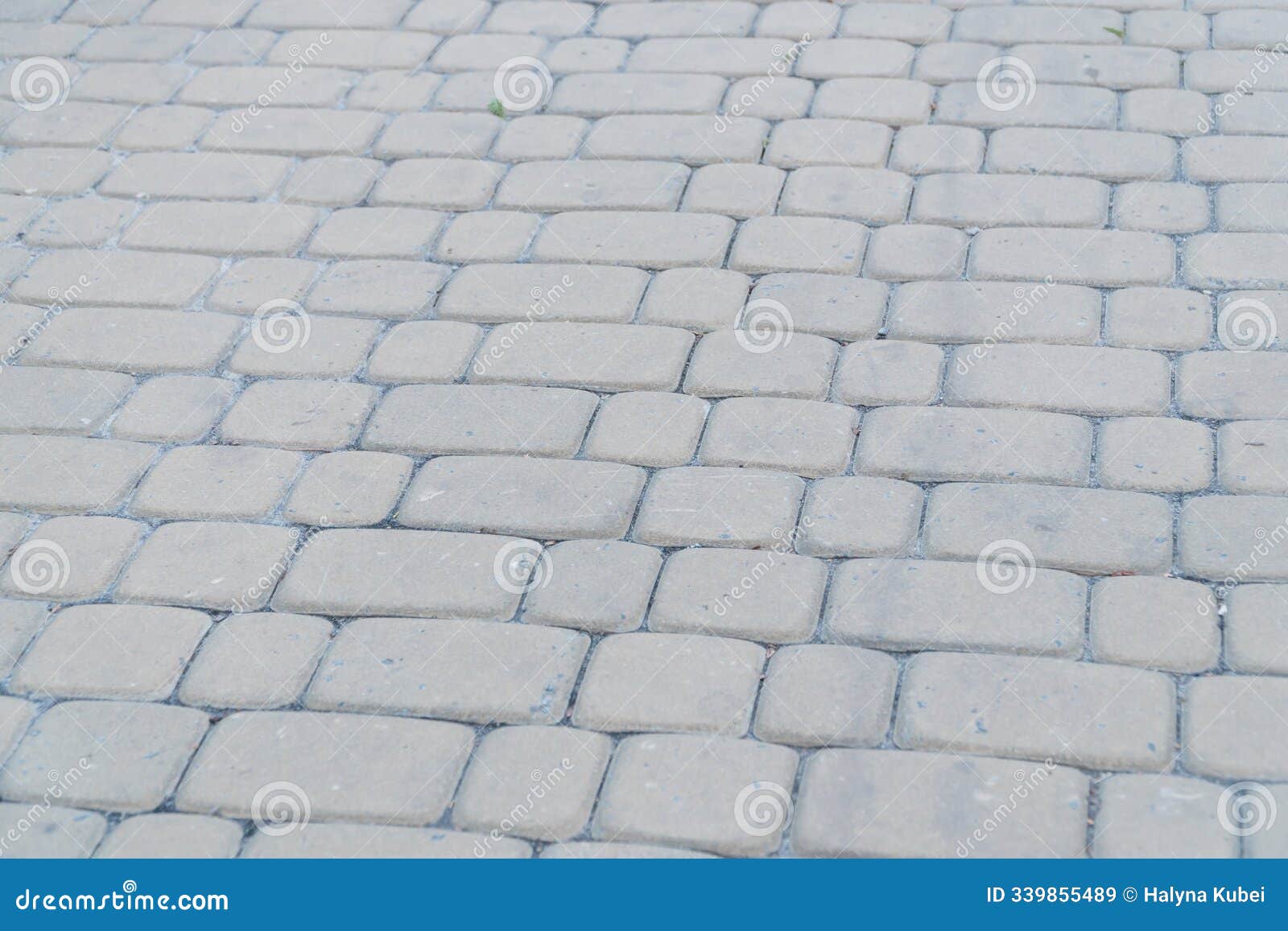 Elegant Cobblestone Pathway with Subtle Textures and Palettes Stock ...