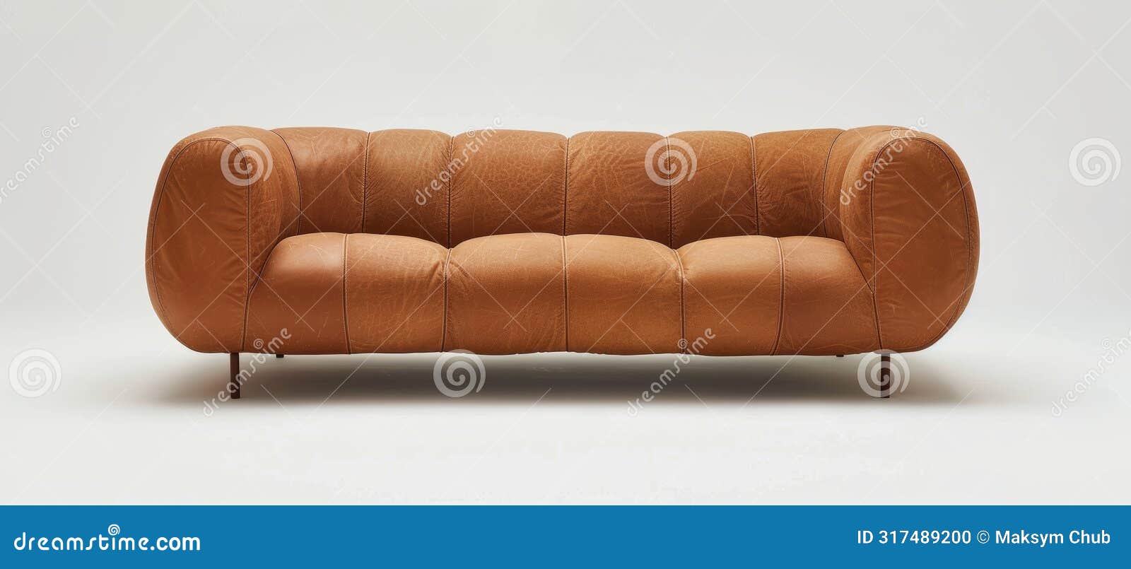 Elegant Curved Leather Sofa with Stitching Details, Side View on White ...