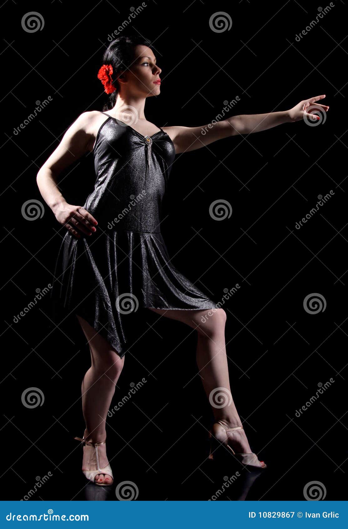 Elegant dance stock image. Image of dancing, figure, dress - 10829867