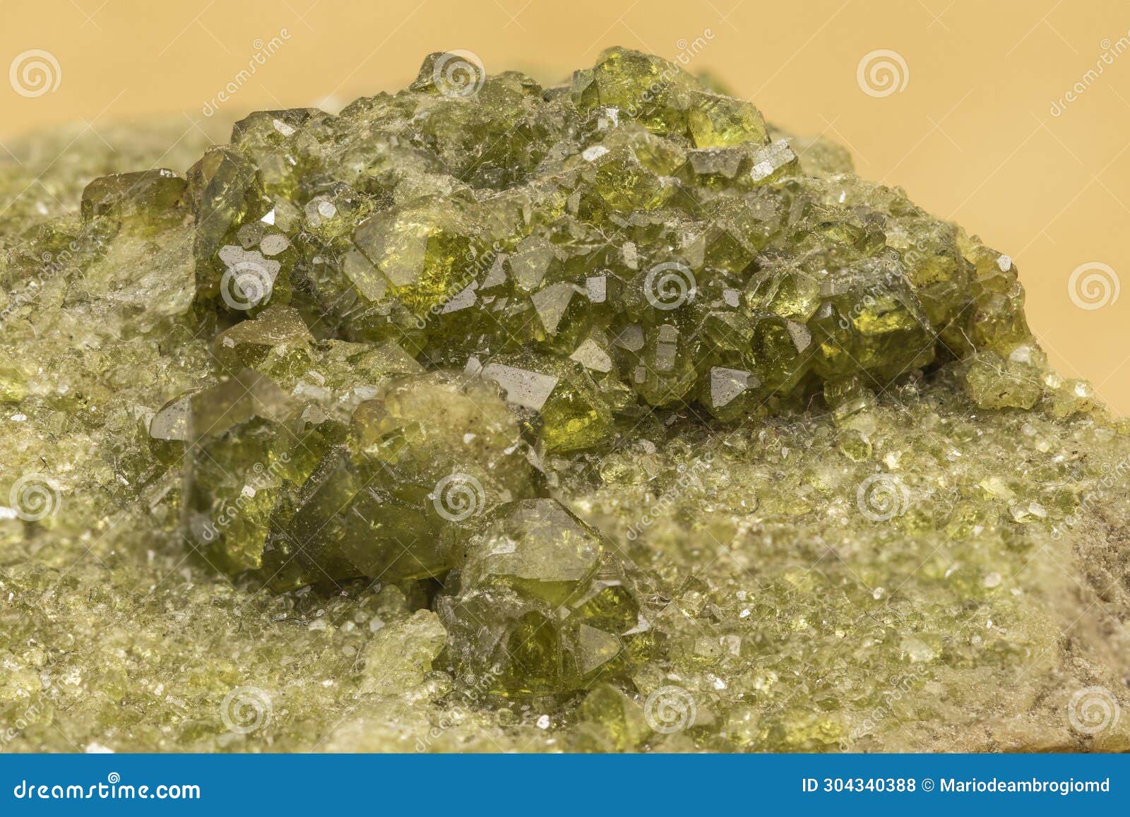 Elegant Display Of Collector's Black Tourmaline Crystals On Matrix ...