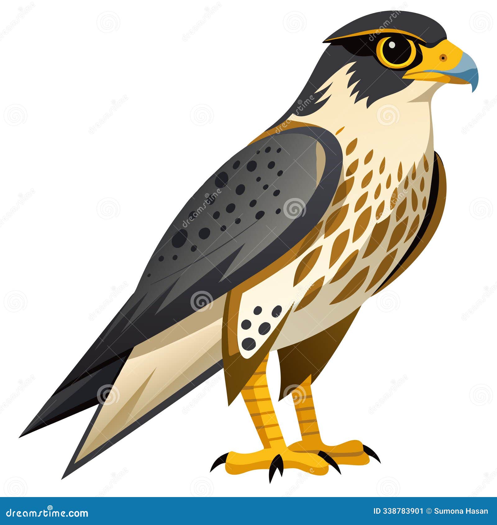 Elegant Falcon Vector Illustration in Eps File Stock Vector ...