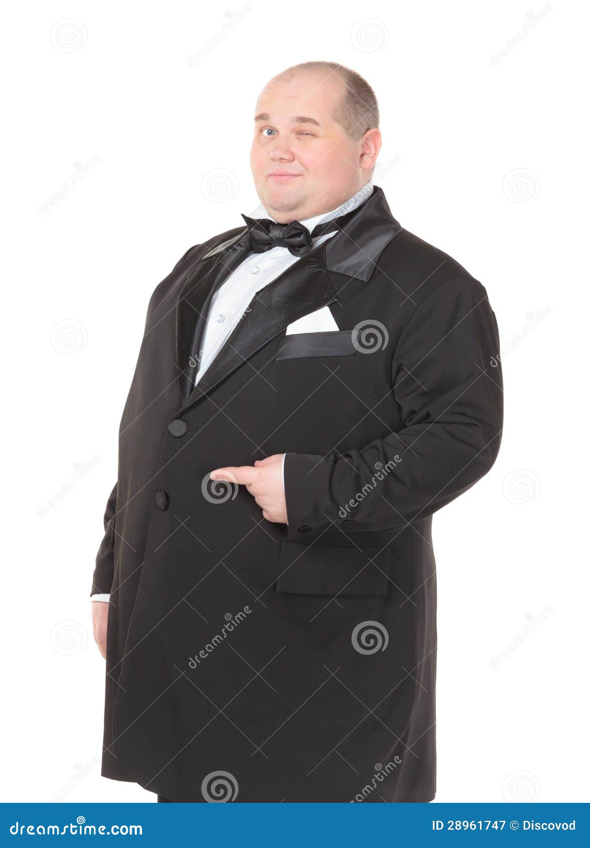 Elegant Fat Man In A Bow Tie Pointing Royalty Free Stock Photography ...