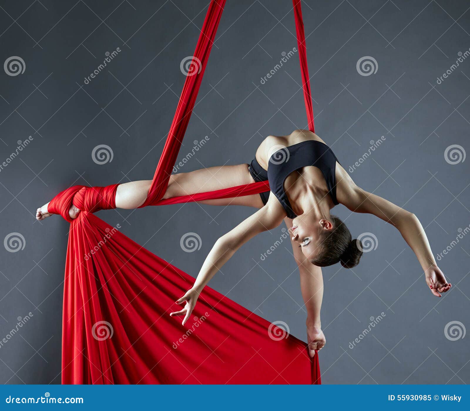 Elegant Female Dance Posing on Aerial Silks Stock Image - Image of ...