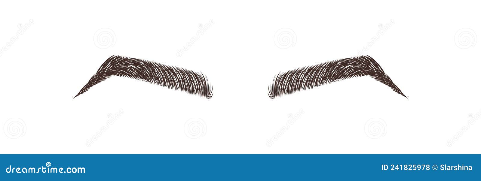Elegant Female Eyebrows Shape. Brow Master Logo. Permanent Make-up and ...
