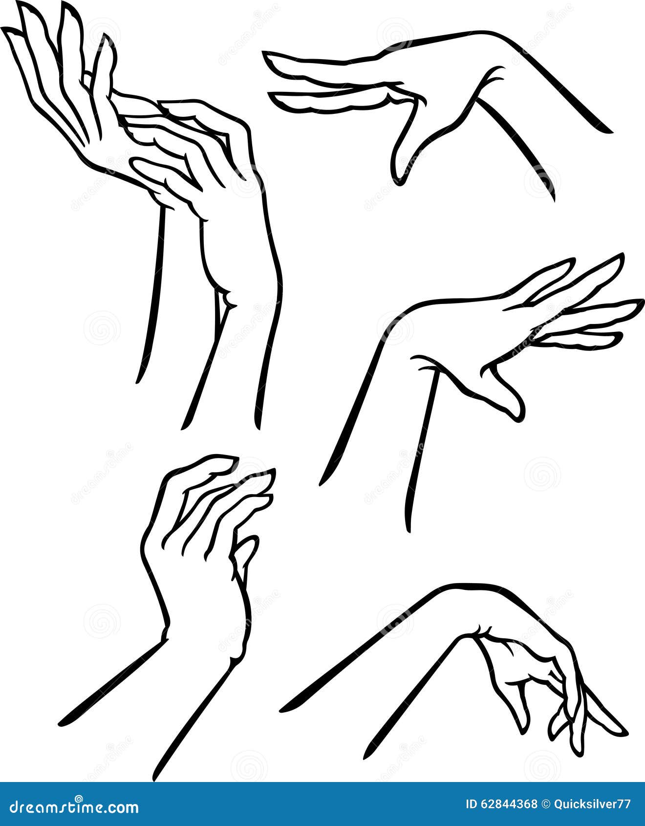 Elegant Female Hand Gestures Stock Vector - Illustration of rising ...