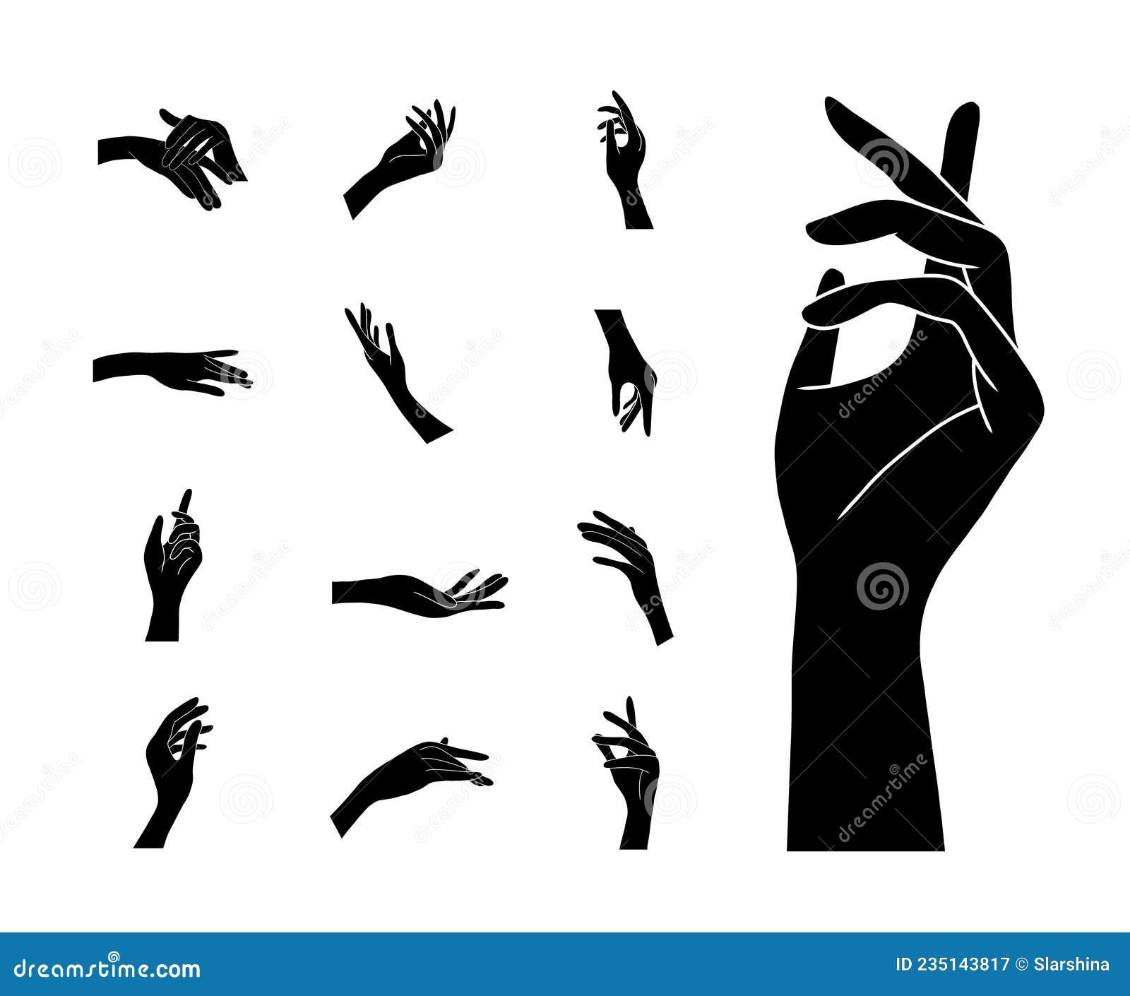 Elegant Female Hands in Different Gestures. Hand Drawn Vector ...