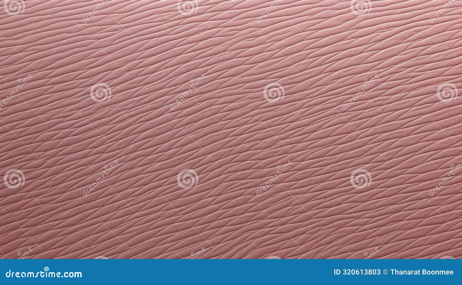 Elegant Flat Illustration with Dobby Texture and Soft Tones, Featuring ...