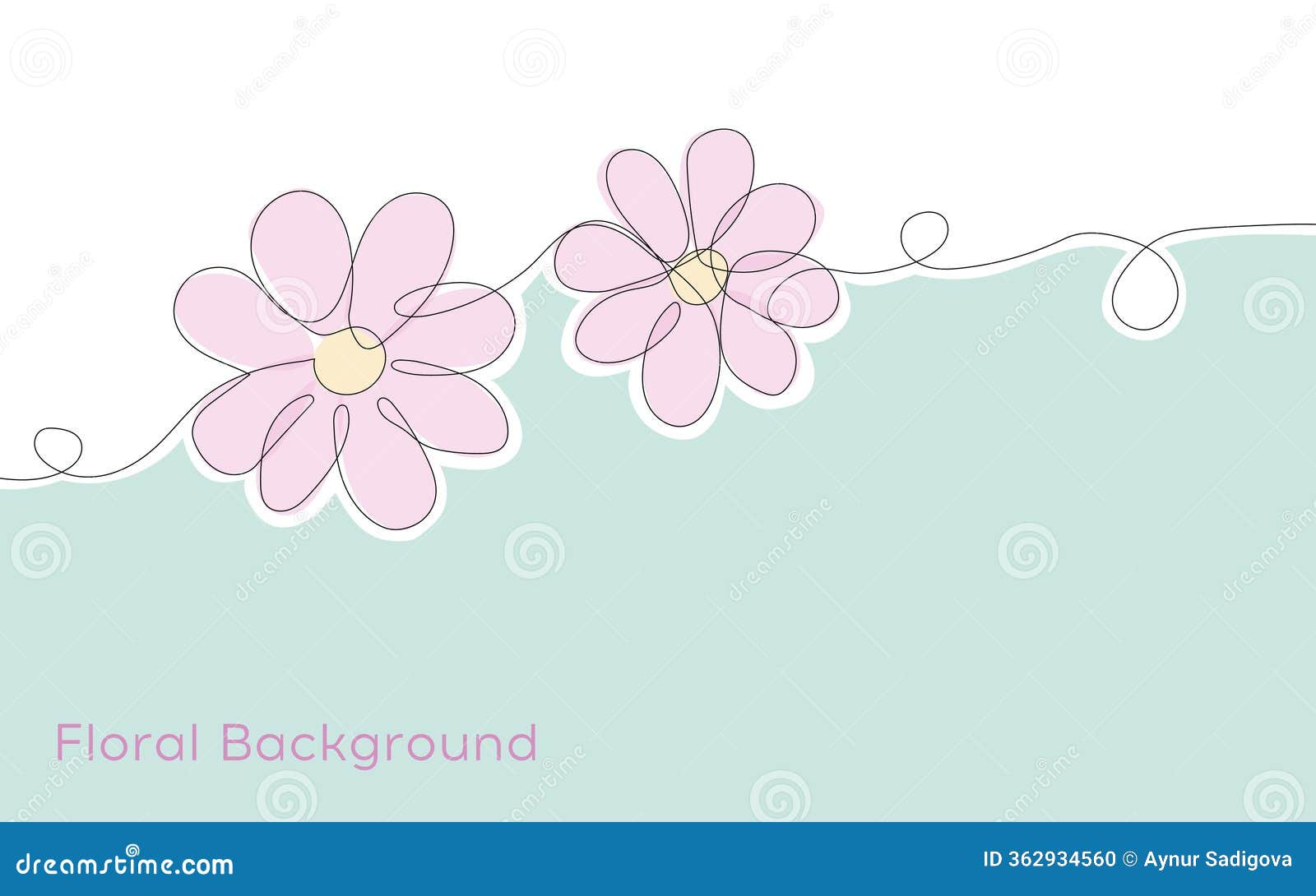 Delicate Line Drawing Of Chrysanthemum Flowers - Isolated Pencil ...