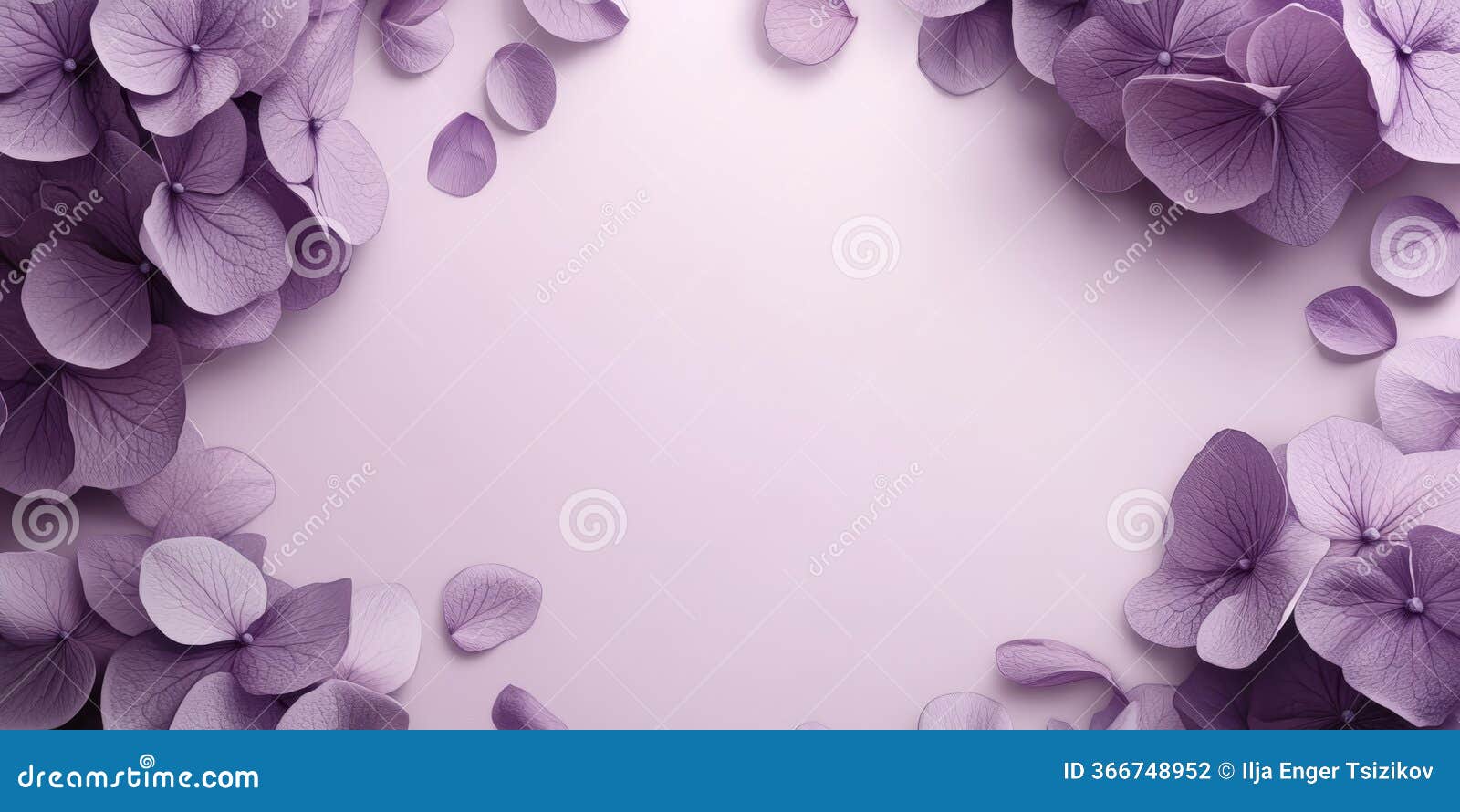 Delicate Violet Solanum Dulcamara Blooms In A Glass Vessel A Minimalist ...
