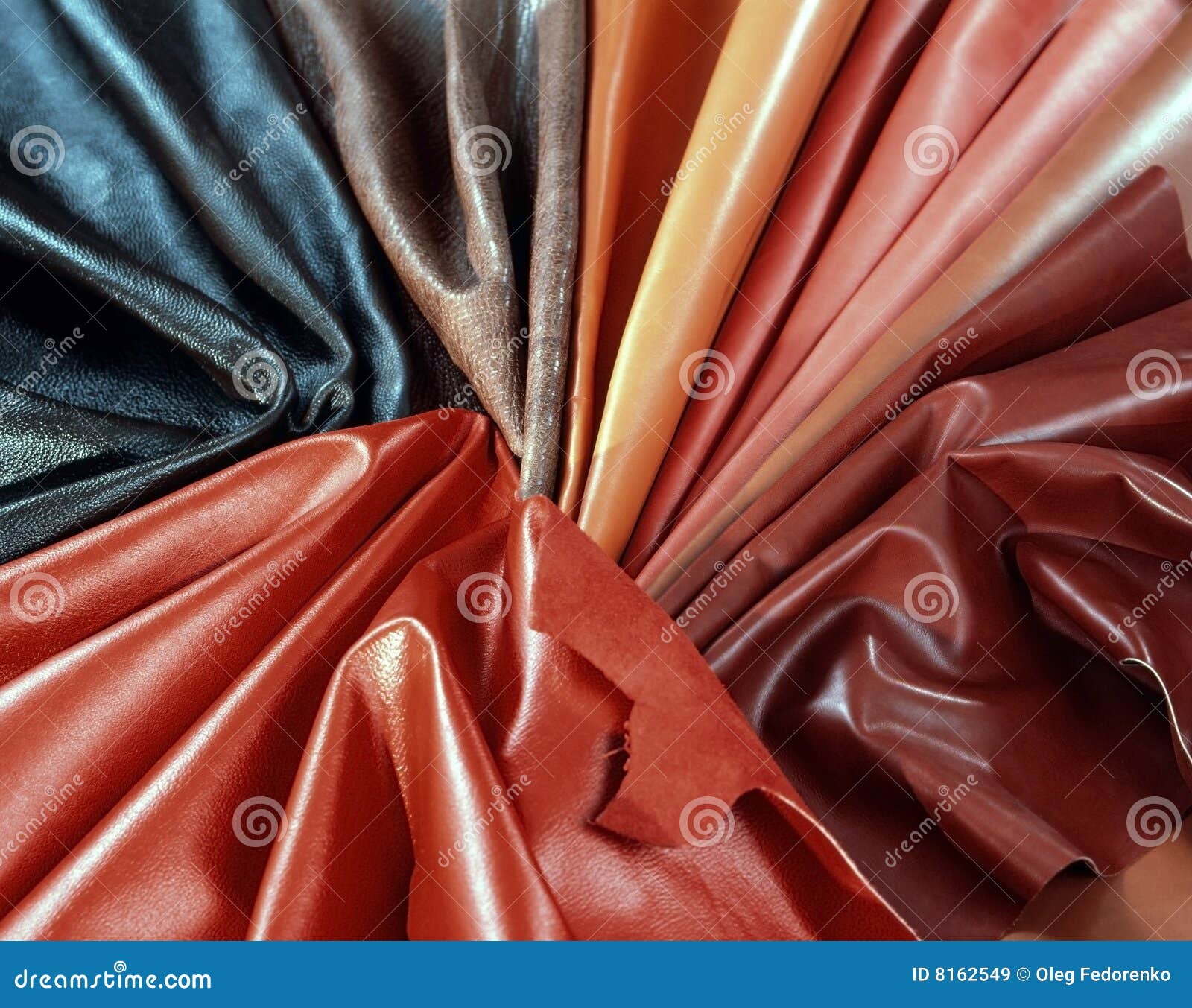 Elegant Folded Skin Picture. Image: 8162549