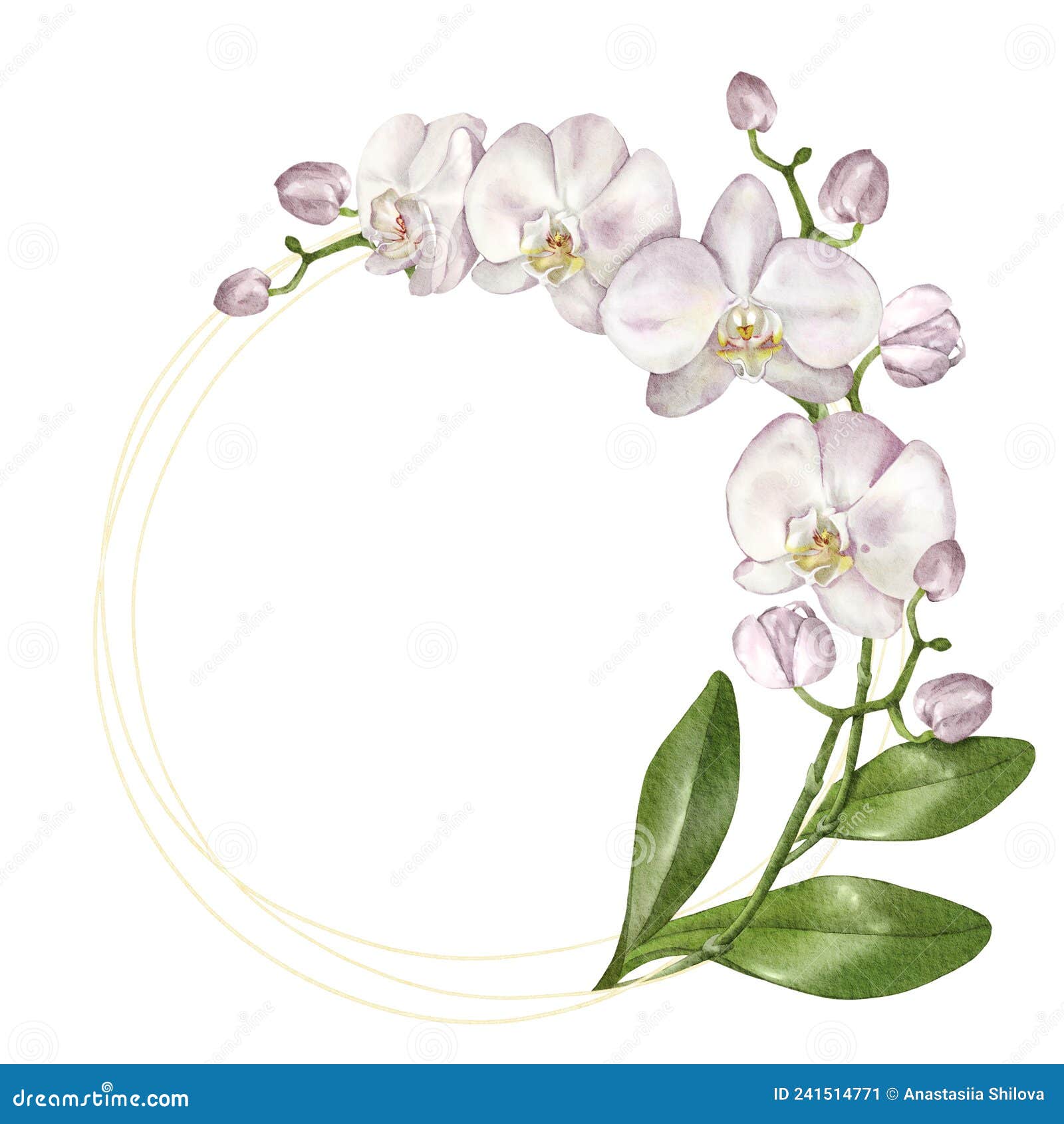 Elegant Golden Round Frame with an Orchid. Isolated on White Stock ...