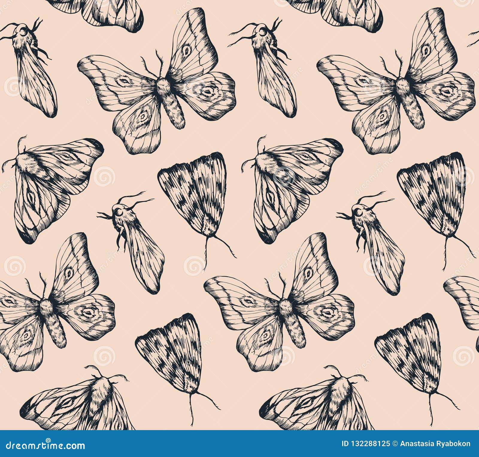 Elegant Handdrawn Ink Moth Pattern Black on Beige Stock Vector ...