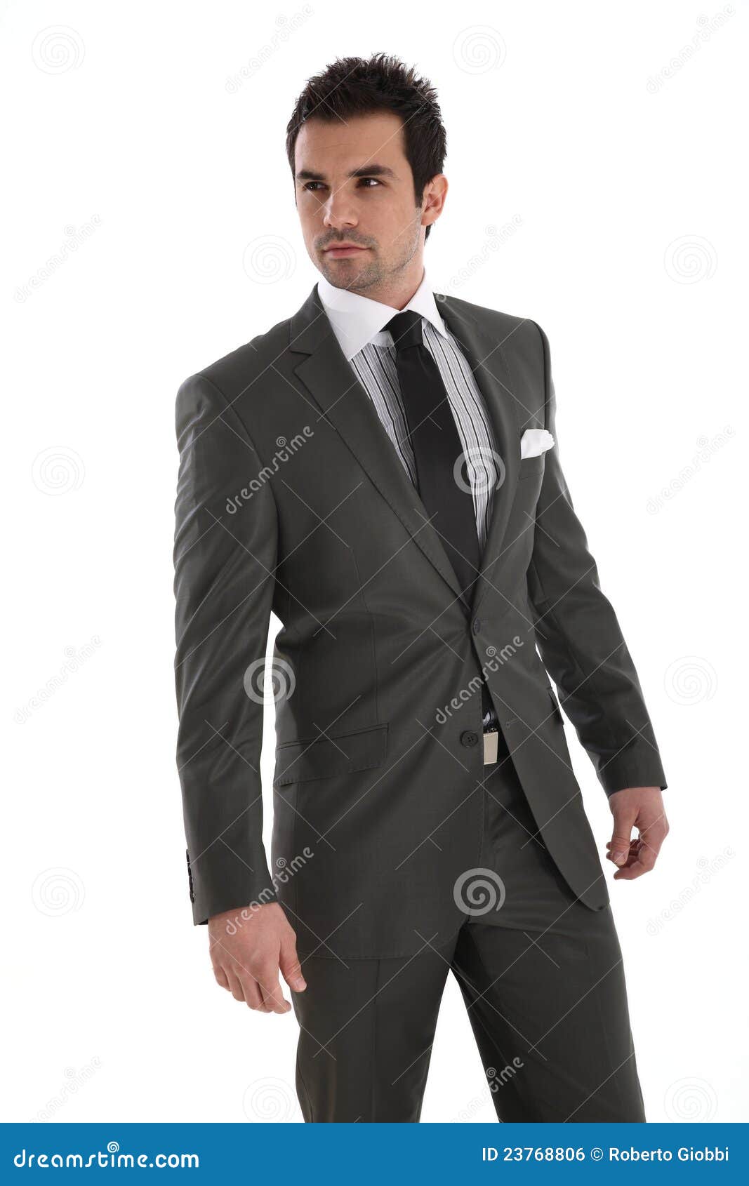 Elegant Handsome Man In Suit Royalty Free Stock Image - Image: 23768806