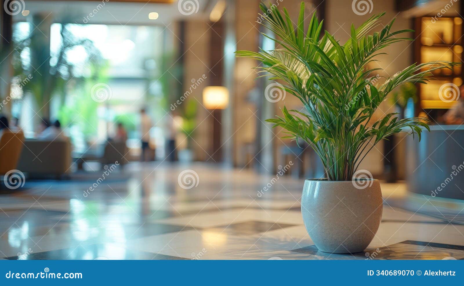 Elegant Hotel Lobby with Indoor Plant Stock Photo - Image of airy ...