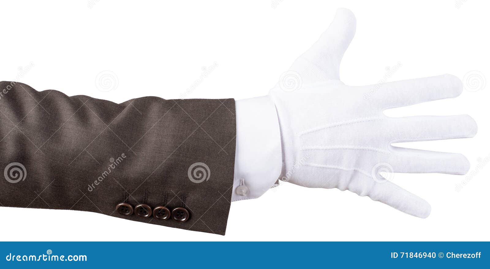 Elegant human hand stock photo. Image of gesturing, restaurant - 71846940