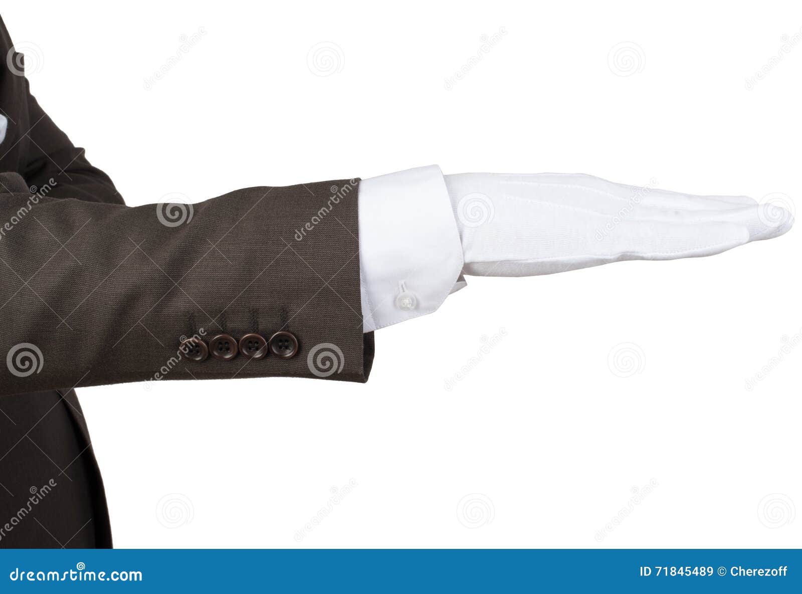 Elegant Human Hand Presenting Your Text Or Product Stock Image - Image ...