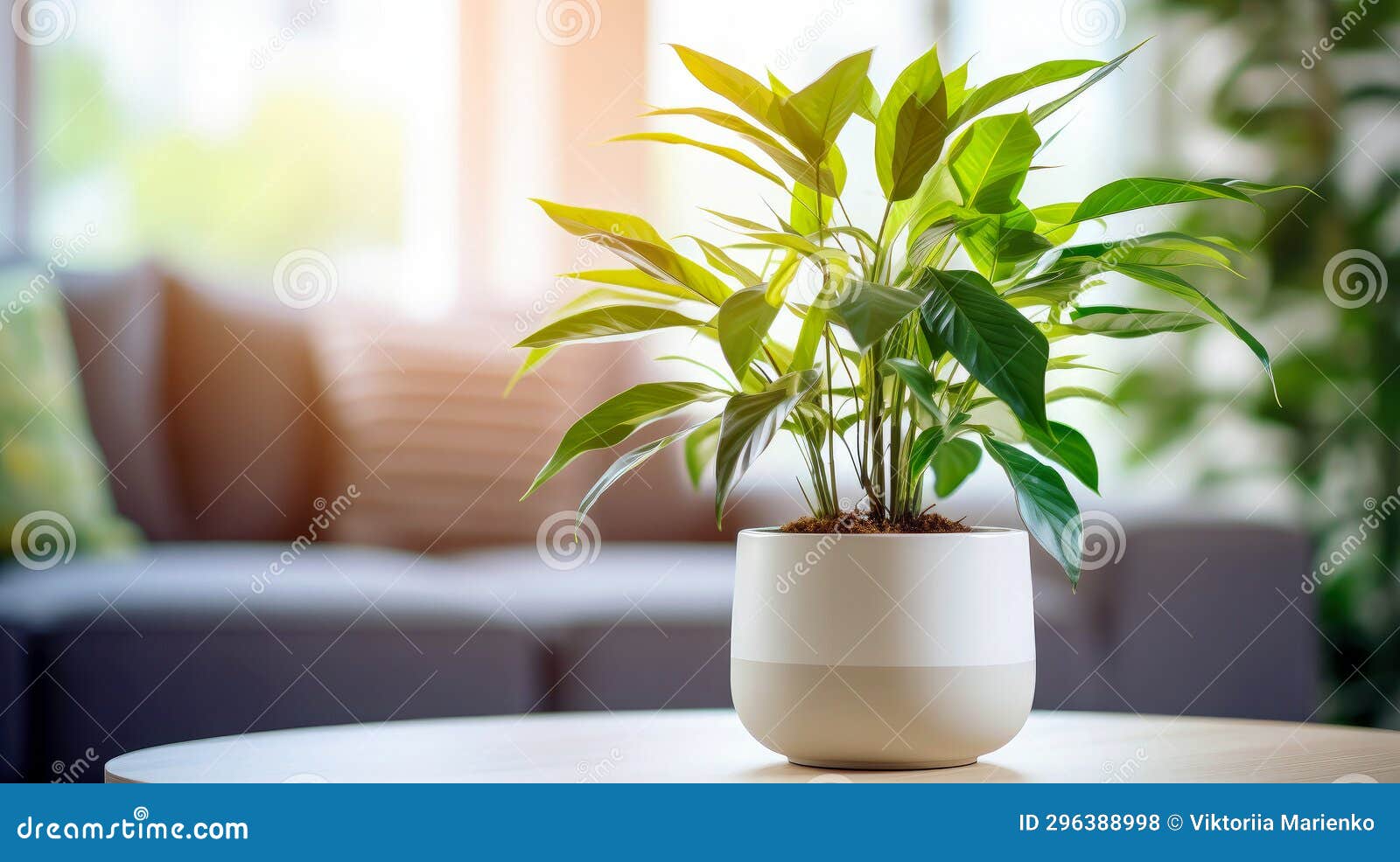 Elegant Indoor Greenery: Modern Interior Aesthetics Stock Illustration ...