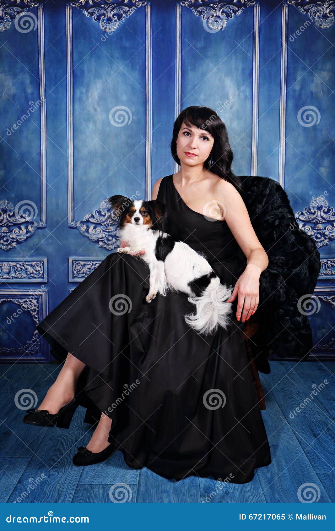 Elegant lady with a dog stock image. Image of fashionable - 67217065