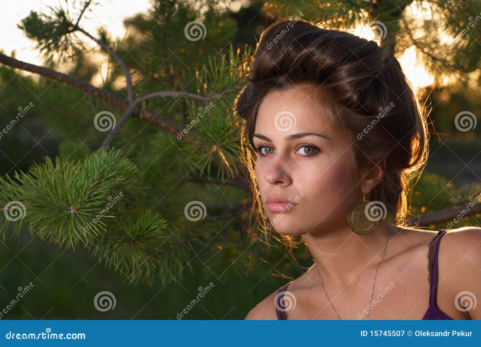 Elegant lady in forest stock image. Image of hairdress - 15745507