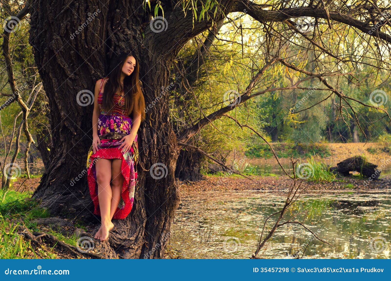 Elegant lady in the forest stock photo. Image of female - 35457298