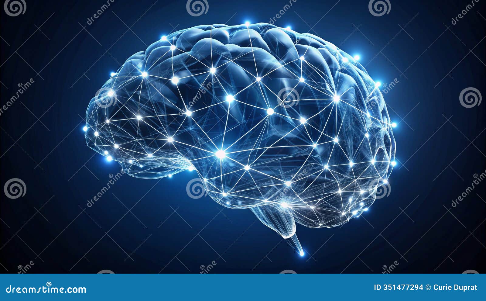 Elegant Line Art Illustration of a Brain a Visual Exploration of the ...