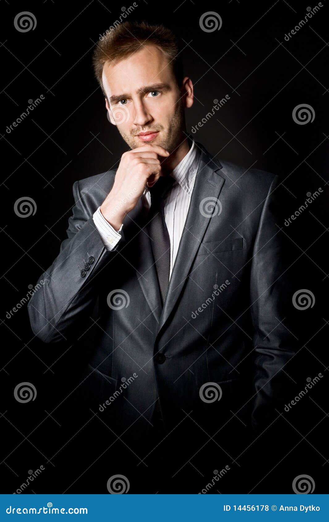Elegant man stock photo. Image of young, confidence, gesture - 14456178