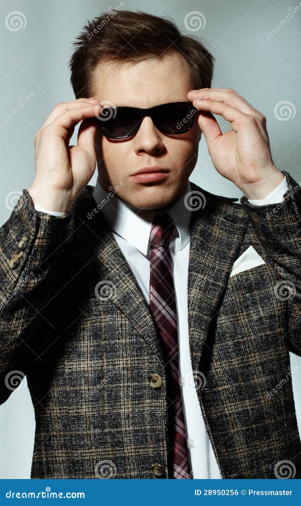 Elegant man stock photo. Image of chic, expression, face - 28950256