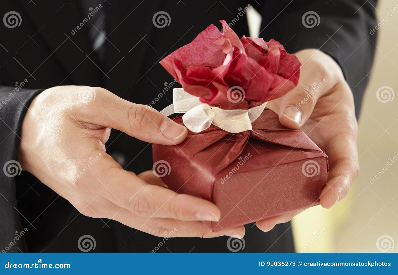 Elegant Man Holding Present Picture. Image: 90036273