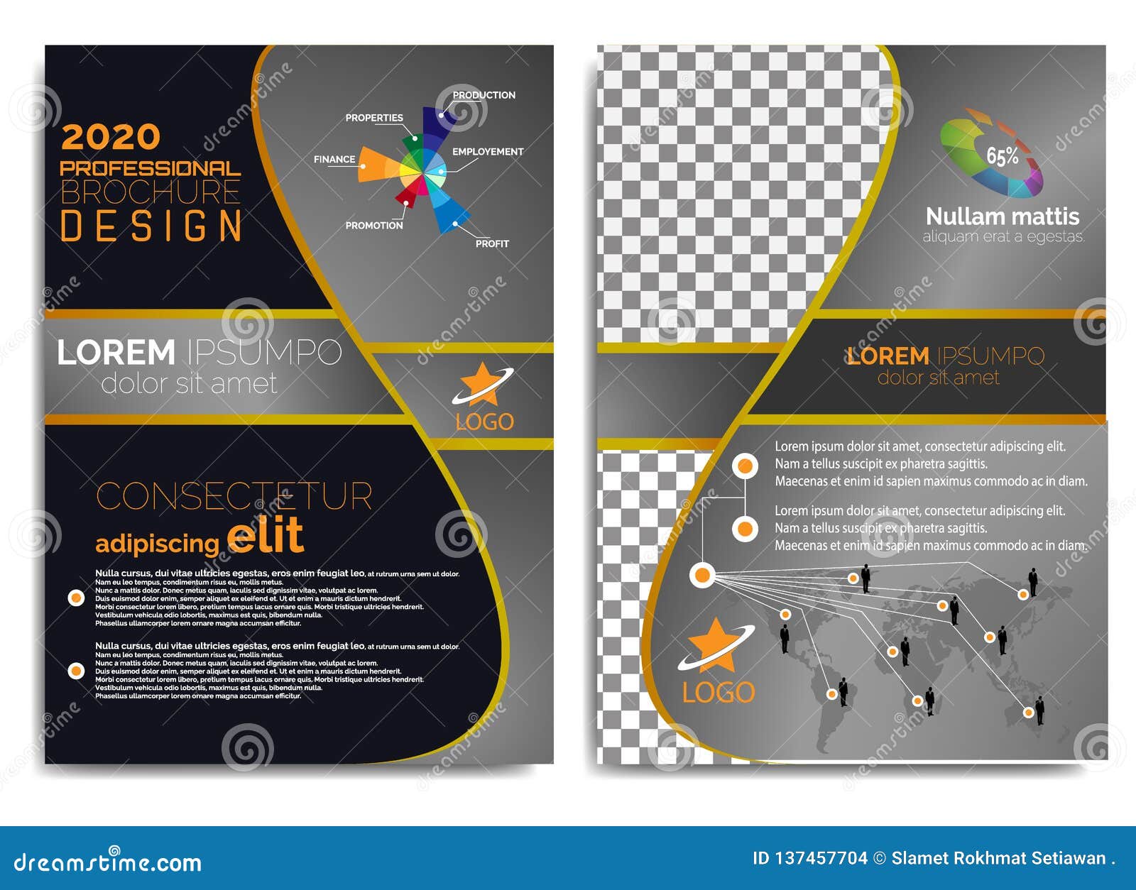 Elegant,modern and Professional Brochure Design 2019 Stock Vector ...