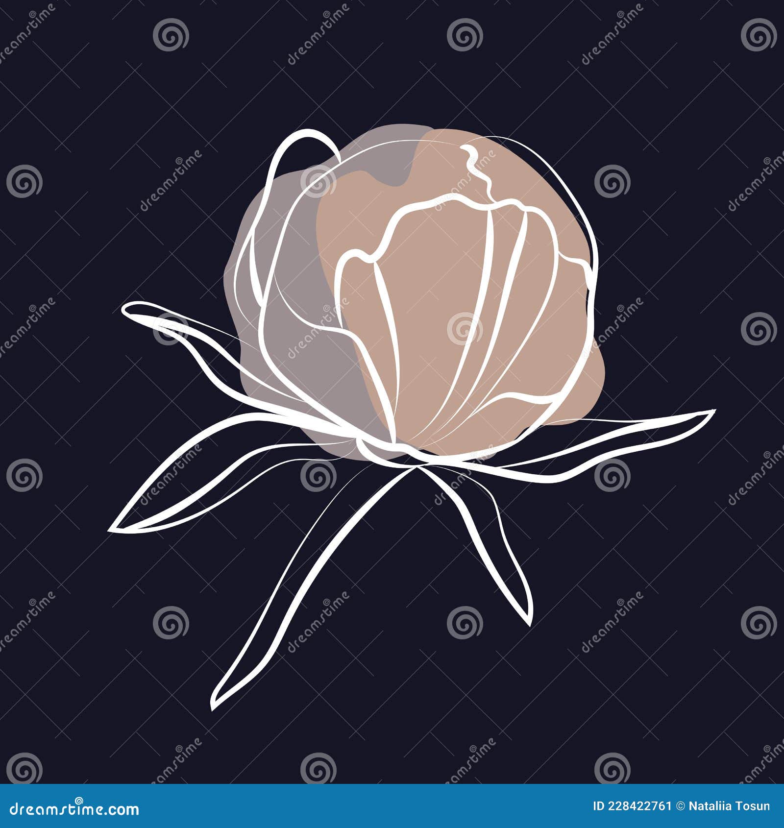 Elegant Outline Sketching of Peony Leaf, Vector Illustration, Seamless ...
