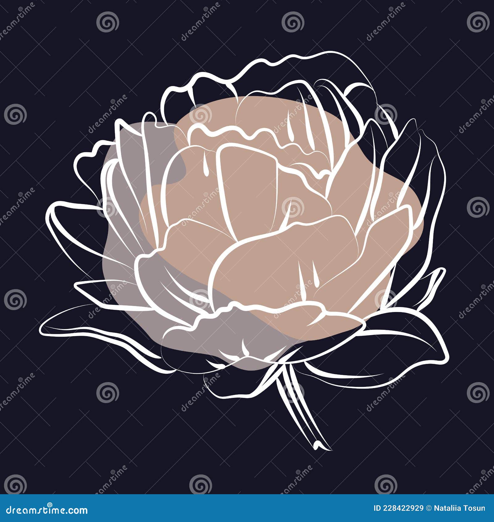 Elegant Outline Sketching of Peony Leaf, Vector Illustration, Seamless ...