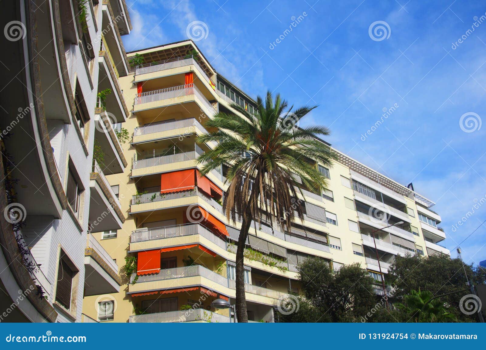 Elegant Palm Tree in Front of High Building Stock Photo - Image of home ...