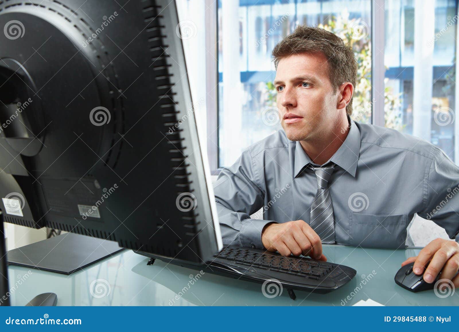 Professional Working on Computer Stock Photo - Image of alone, employee ...