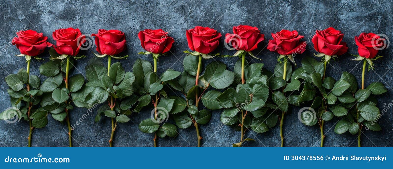 Elegant Red Roses Lined on Slate Background Stock Photo - Image of ...