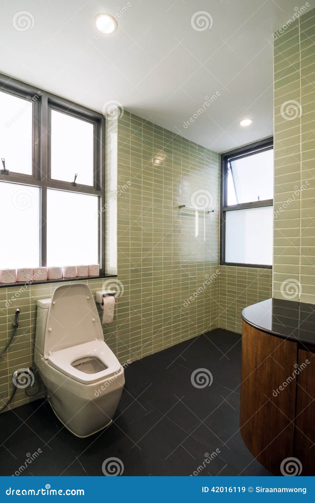 Elegant restroom stock image. Image of room, modern, apartment - 42016119